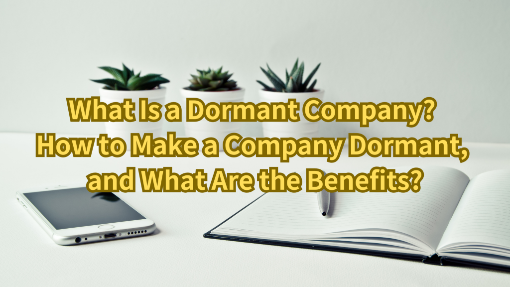 What Is a Dormant Company? How to Make a Company Dormant, and What Are ...